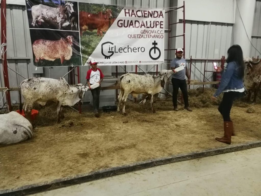 COPEREX informa que El Parque de la Industria se encuentra funcionando ...