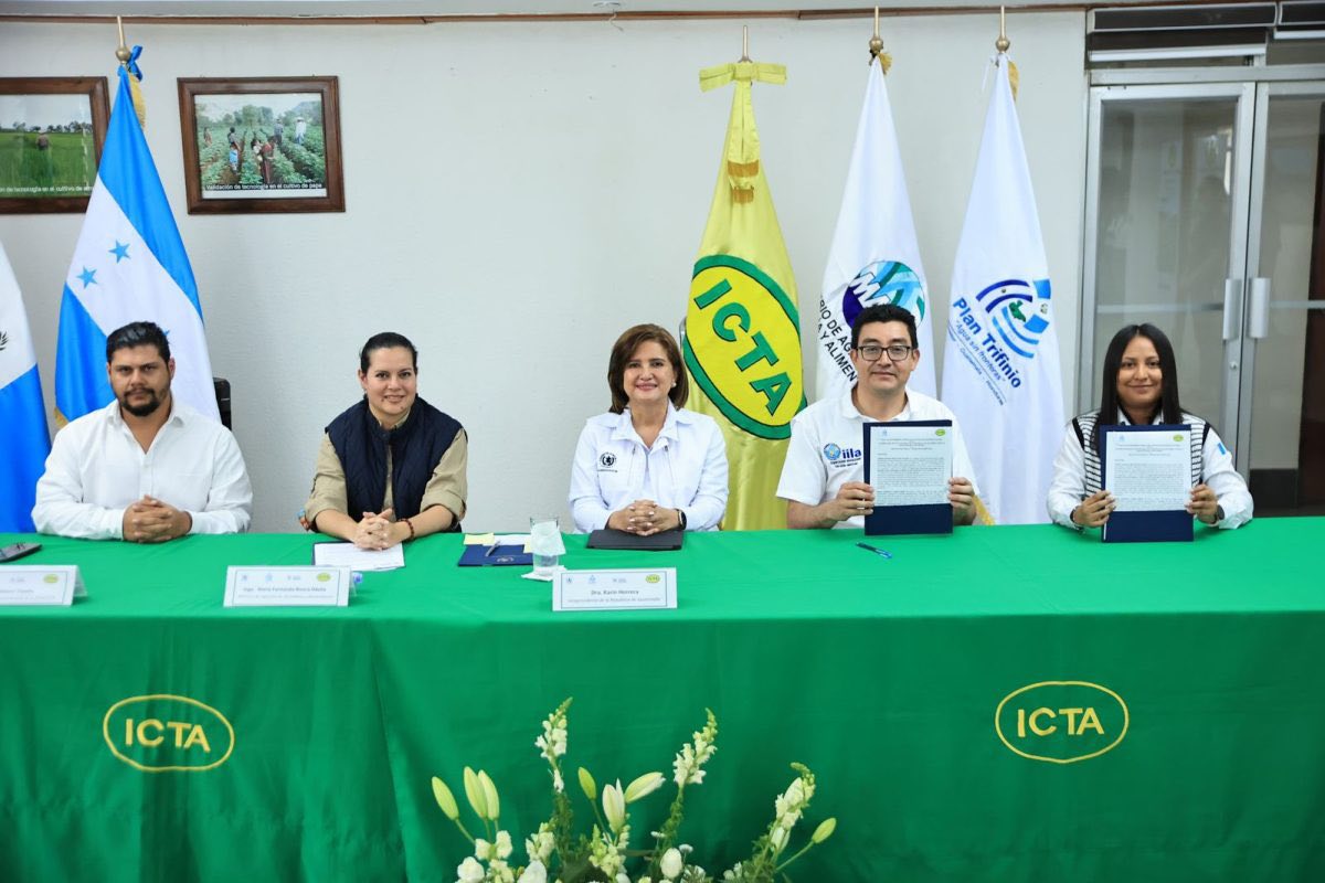 Alianza interinstitucional ICTA Plan Trifinio fortalecerá investigación Agrícola – El Metropolitano